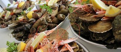Your campsite at the beach in Morbihan